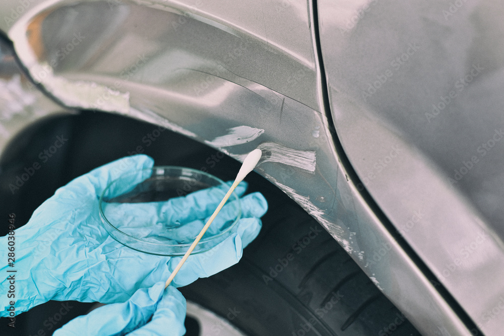 Crime scene investigation, Forensic police collect criminal evidence ...