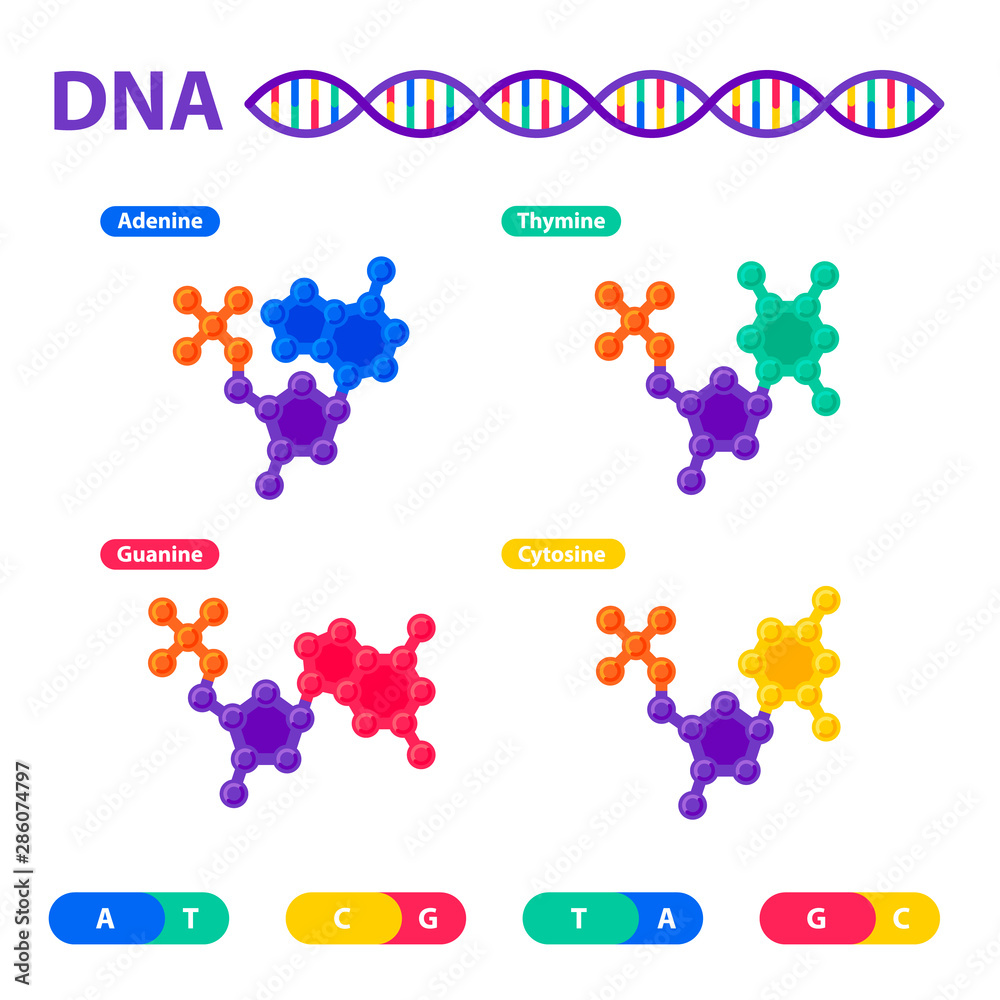 DNA structure, genome sequencing concept. Nanotechnology and ...