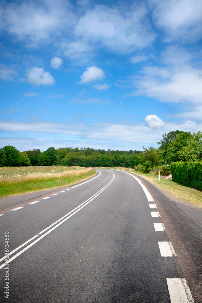 Curvy Road Landscape
