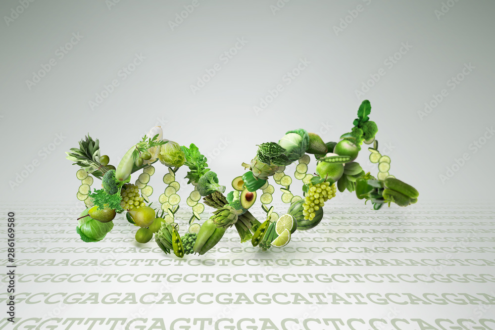 Nutrition Genetics and Nutrigenomics science concept of DNA helix made ...