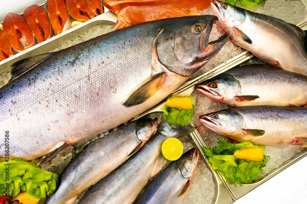 Fish on ice. Fresh salmon in the window. Fish trade. Showcase for the ...