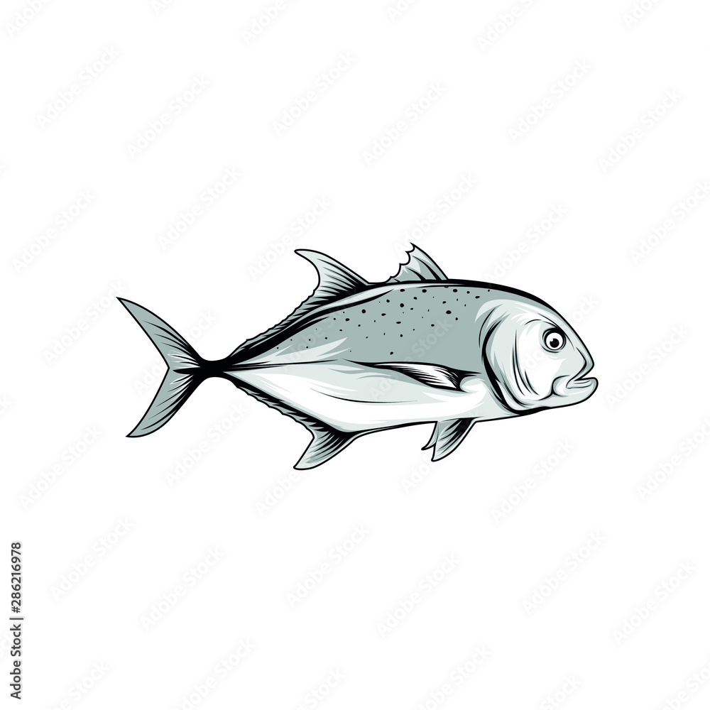Vector of Giant Trevally on white background. Fish cartoon. Stock ...
