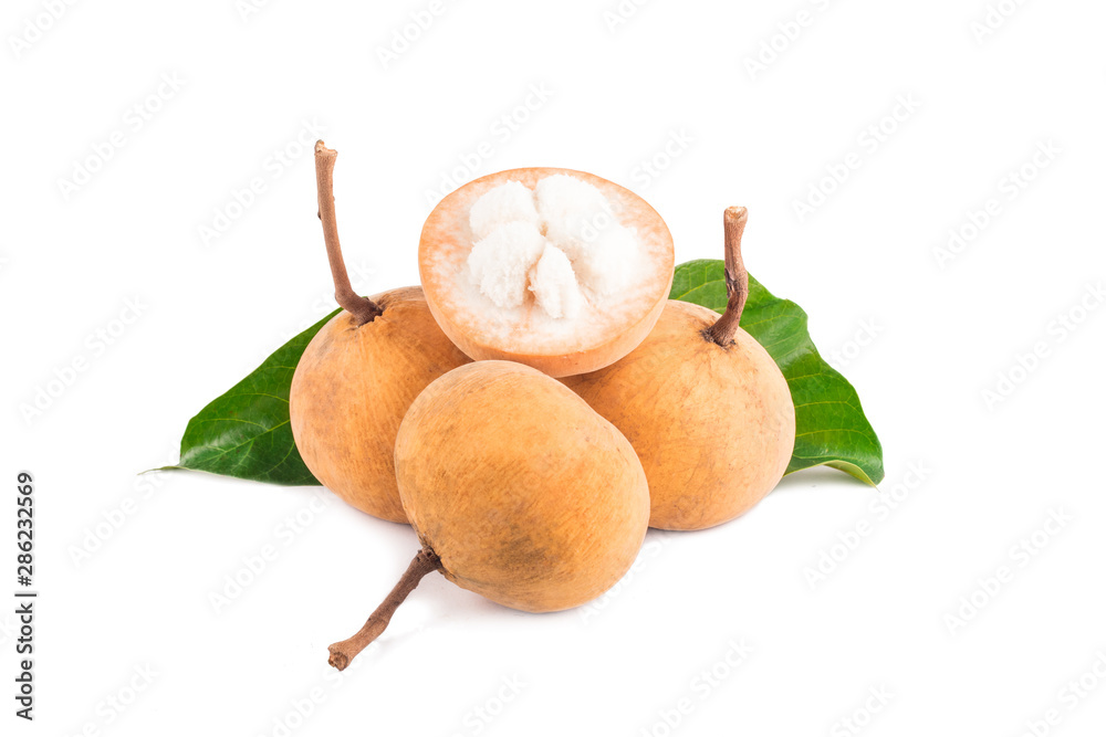 ripe santol or sentul fruit is seasonal fruit of Thailand on white ...