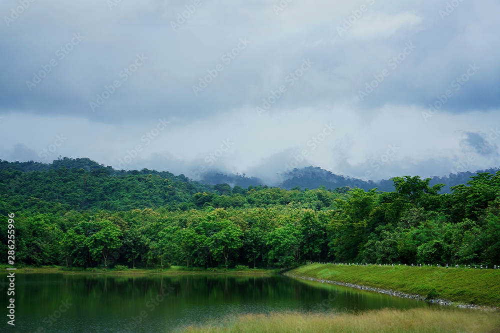 Beautiful Sceneries Of Rain