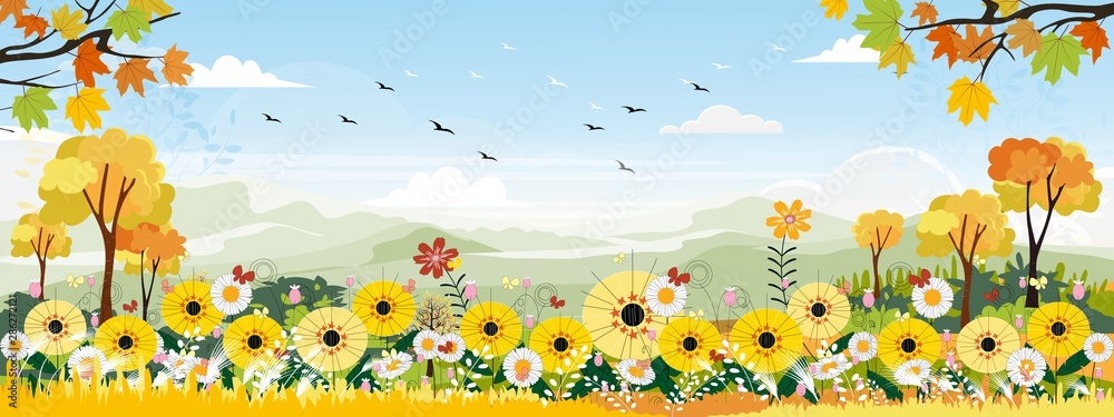 Cute cartoon panorama landscape of Sunflower field and butterfly flying ...