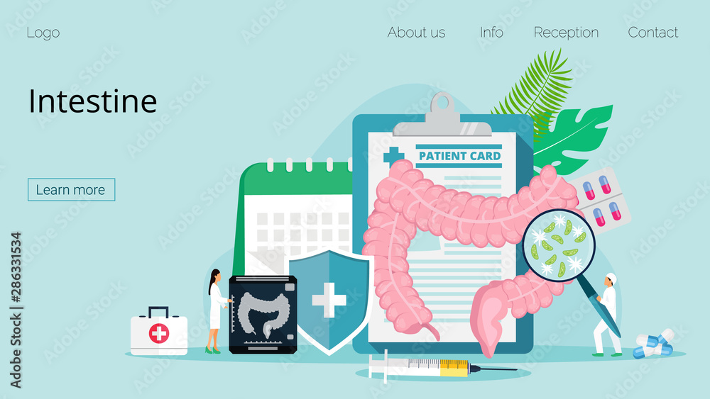 Intestine doctors examine, treat dysbiosis, perform ultrasound scan ...