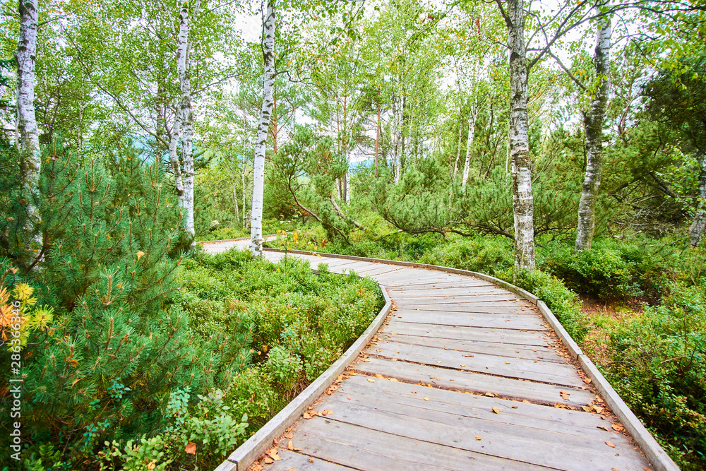 Chalupska moor represents a transitional type of moor between the ...