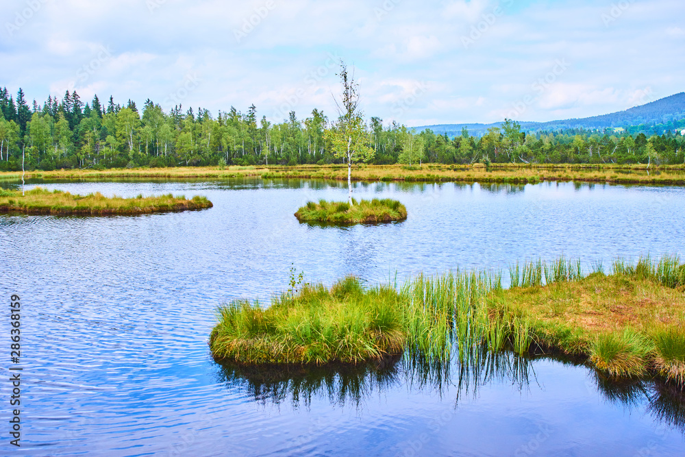 Chalupska moor represents a transitional type of moor between the ...