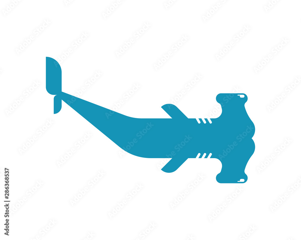 Hammerhead shark isolated. Water predator. Large predatory sea fish ...