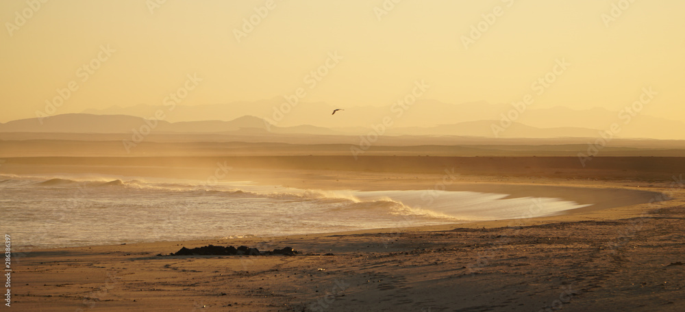 Sunset at the beach on the Skeleton Coast in the Namib Desert, Namibia ...