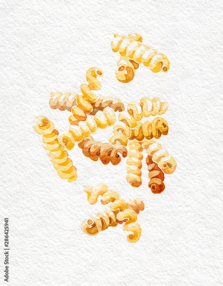 Pasta. Fusilli. Watercolor hand drawing. Black and white. Food ...