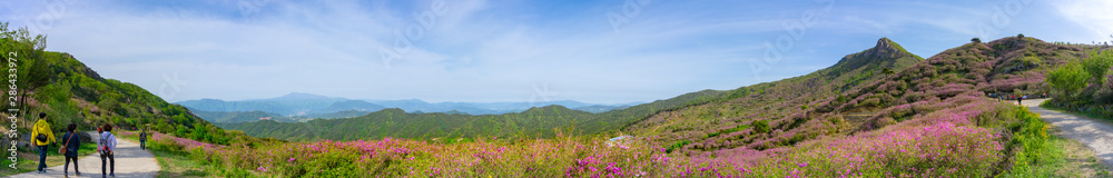 GYEONGSANGNAM-DO, SOUTH KOREA - MAY 5, 2018 : Korean travellers hike ...