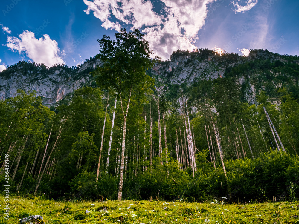 Foto de Behind and between the Königsee and Obersee is a beautiful ...