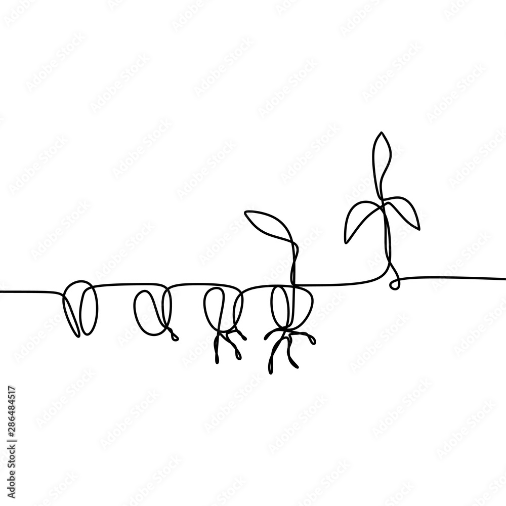 Phase of plant life continuous one line drawing minimalist vector ...