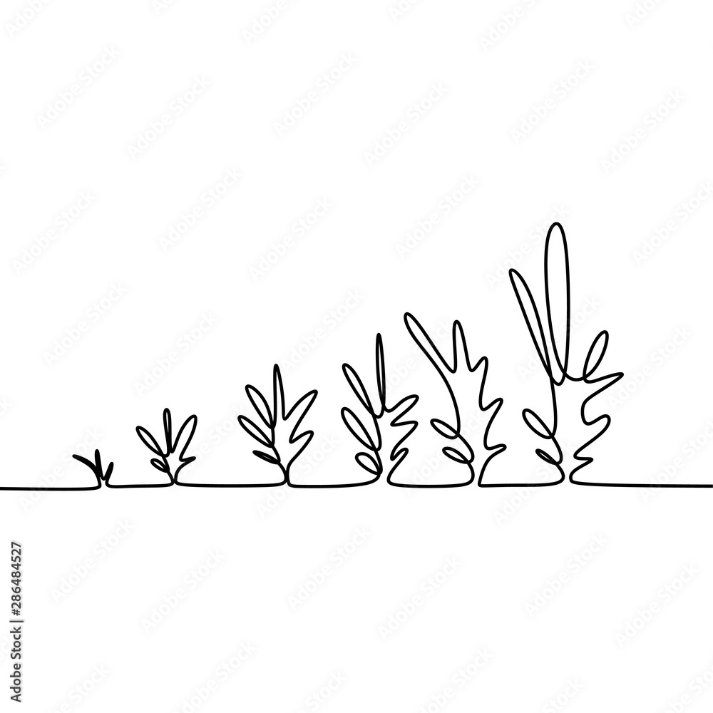 Phase of growing plant continuous one line drawing minimalist vector ...