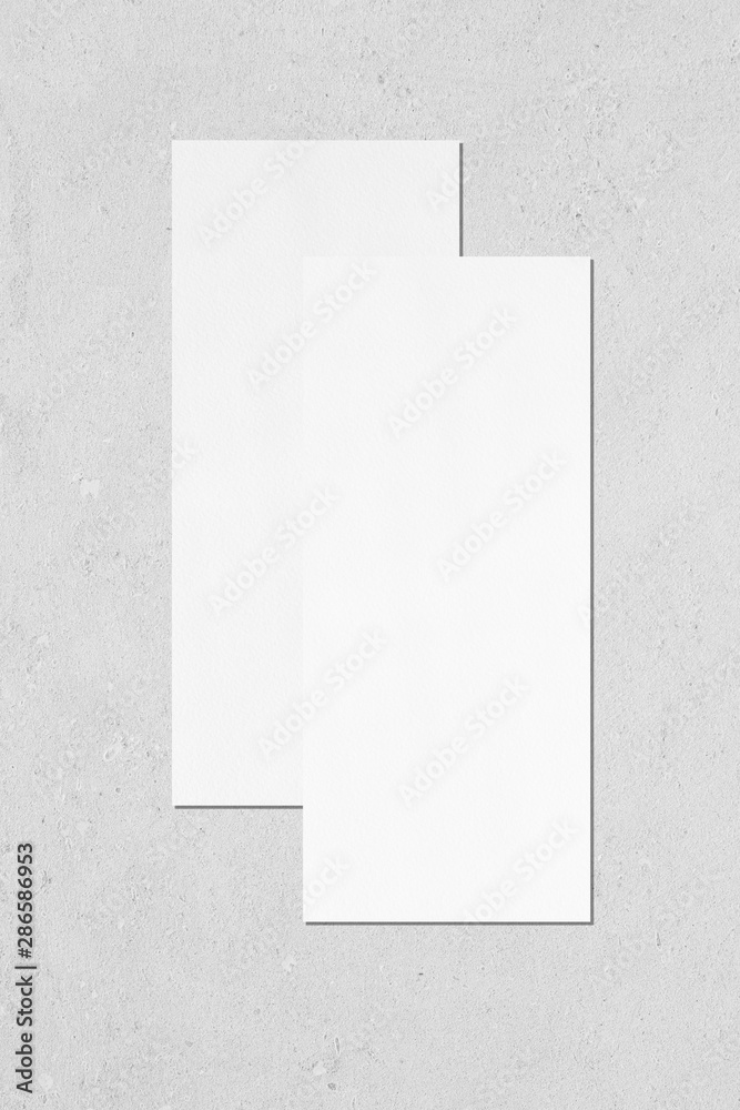 Two empty white vertical rectangle price-list or menu mockups with soft ...