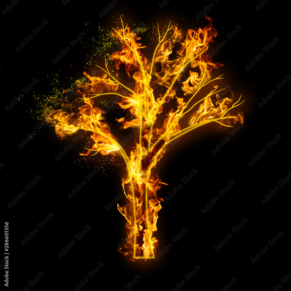 Fire Tree. Fire flames on black isolated background, realistick fire ...