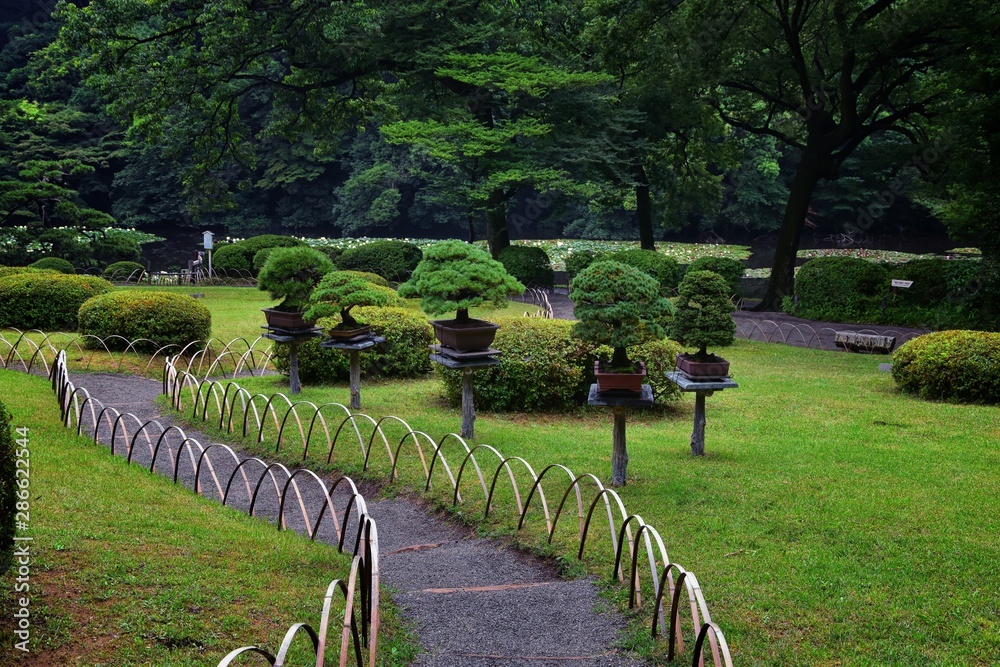 Traditional Japanese gardens in public parks in Tokyo, Japan. Views of ...