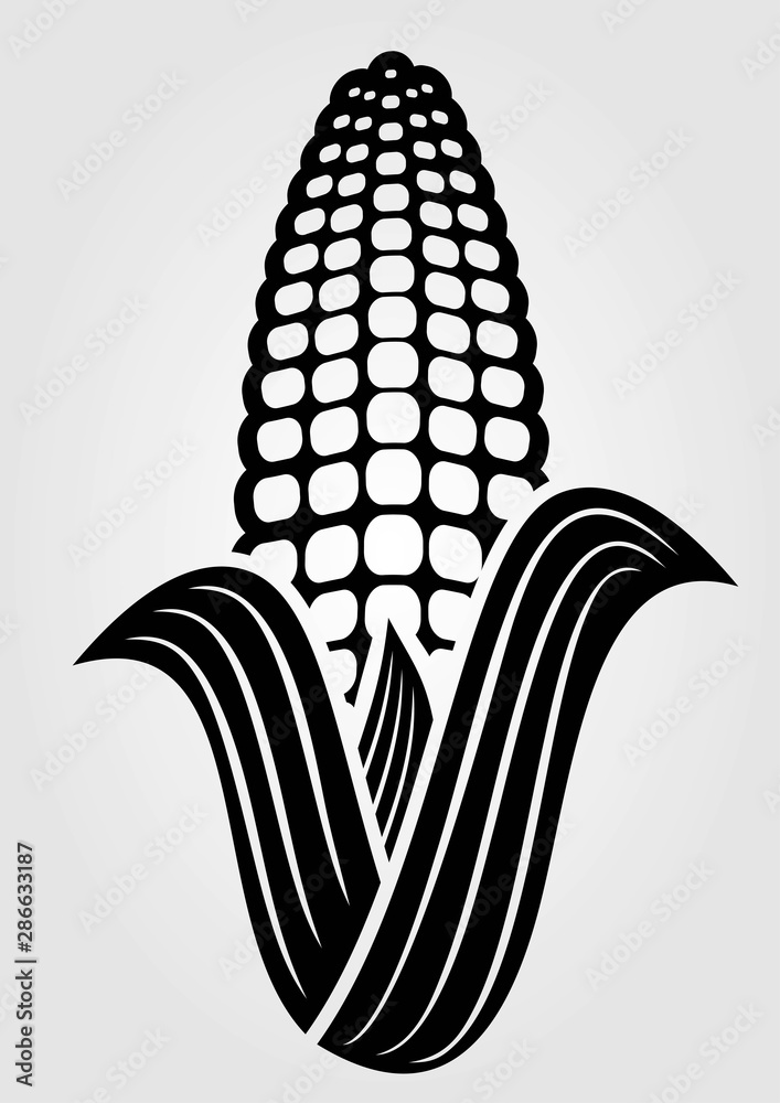 Corn icon isolated on white background. Vector illustration. Stock ...