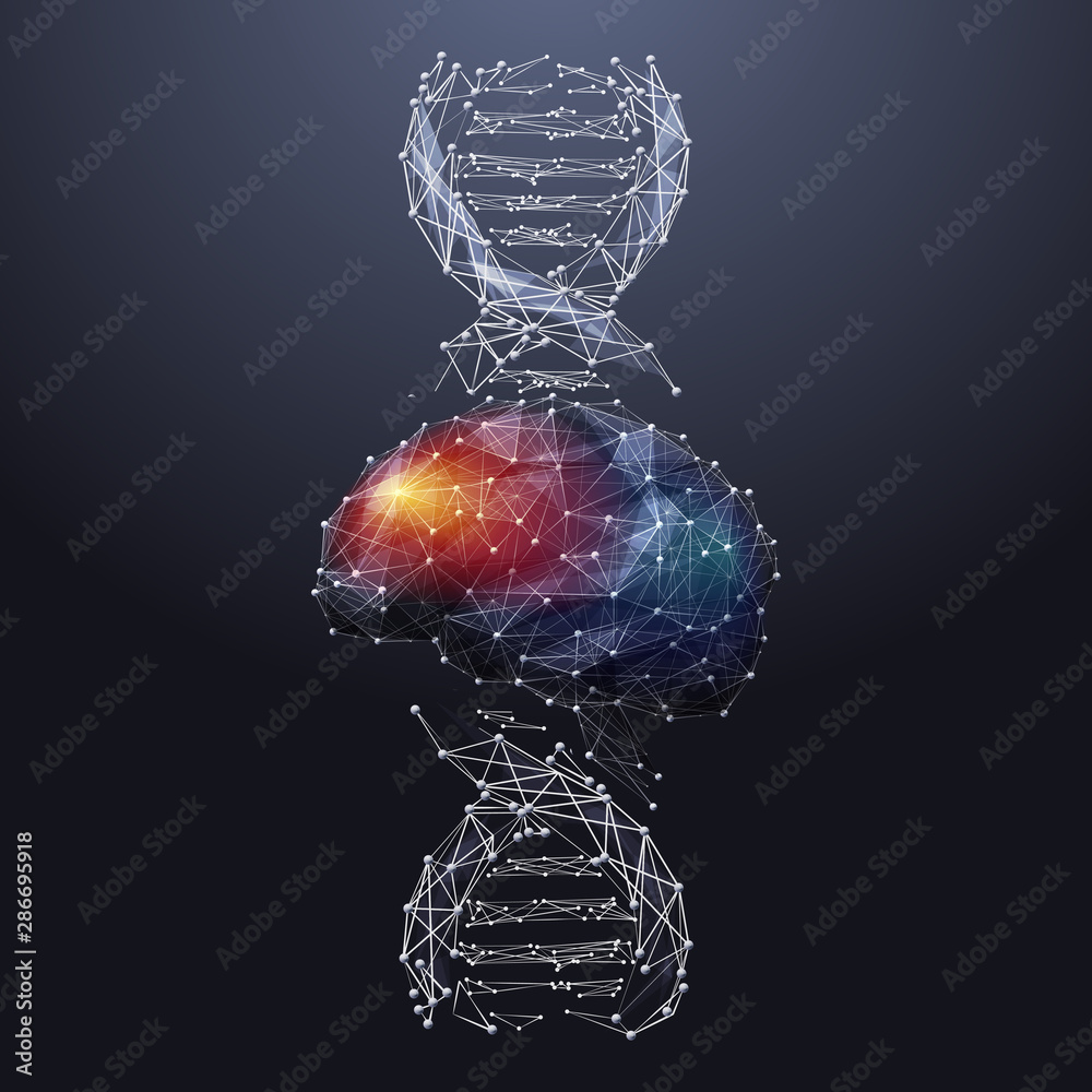 Brain and DNA spiral low poly wireframe illustration. Colorful ...