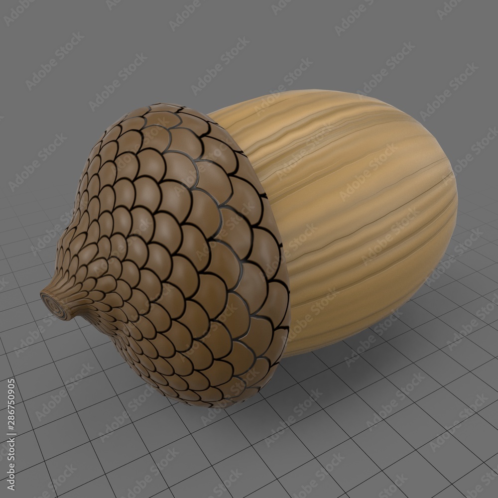 Acorn Stock 3D asset | Adobe Stock