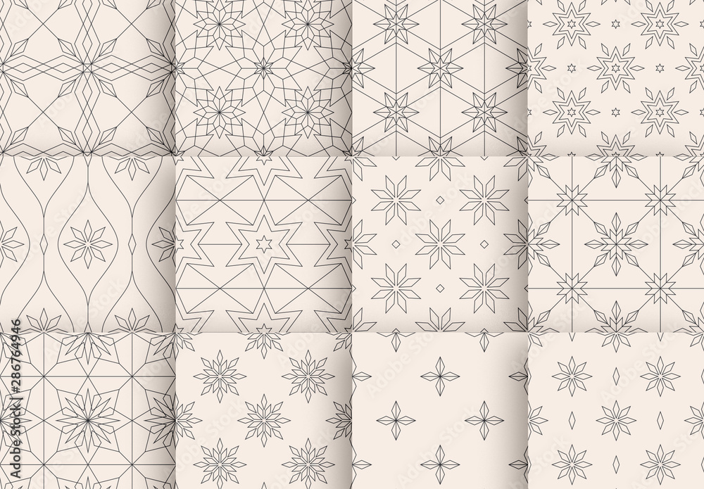 Minimalist Crystal Snowflake Pattern Layout Set Stock Template | Adobe ...