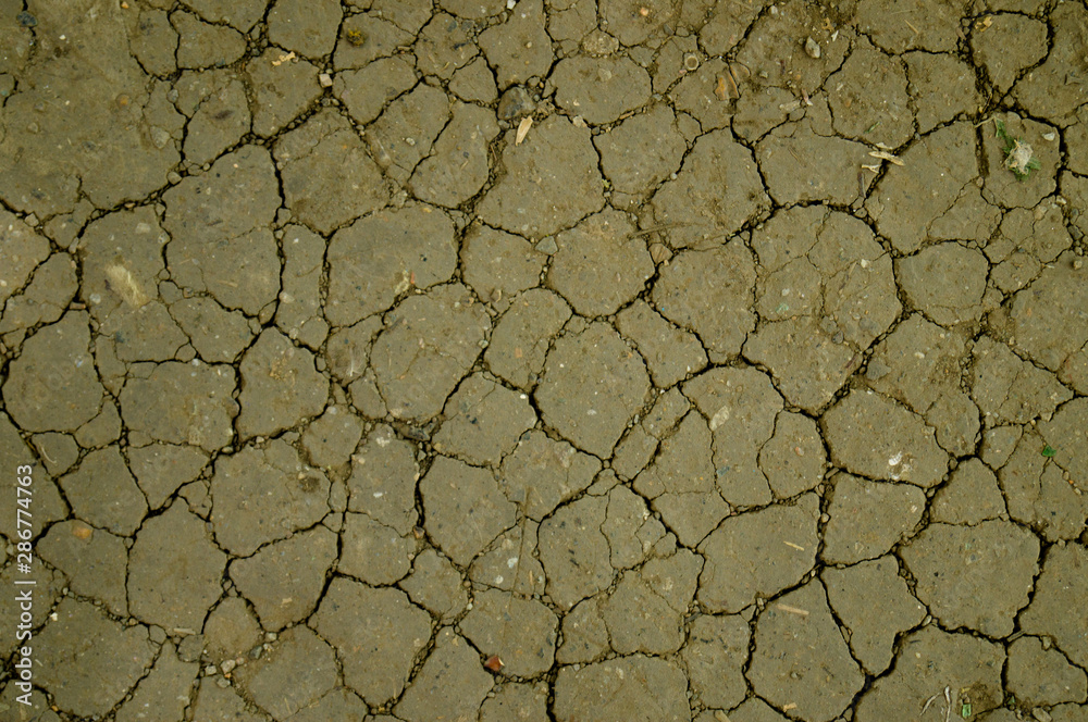 Ground texture. Texture of the earth. Soil texture; Stock Photo | Adobe ...