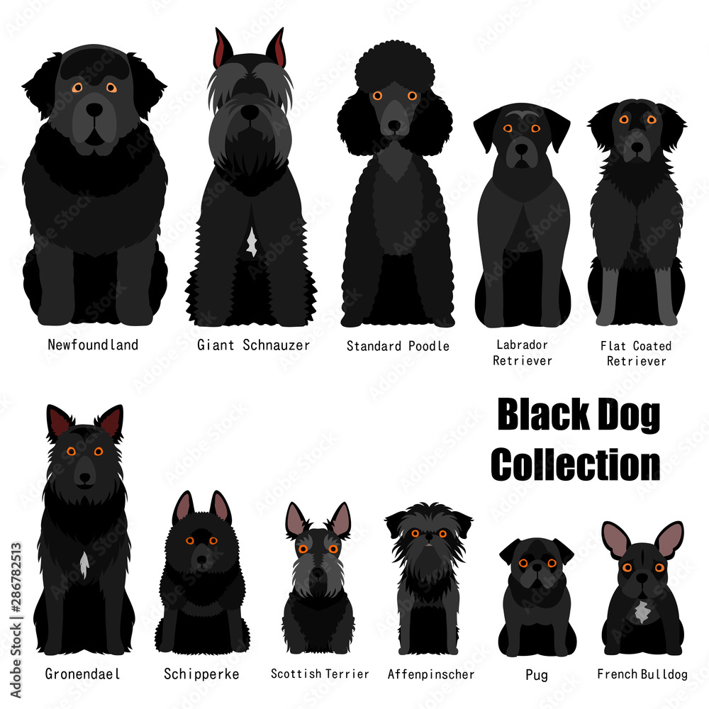 collection of black dog Stock Vector | Adobe Stock