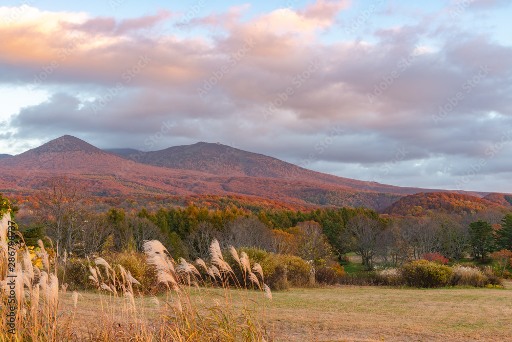 Autumn foliage scenery in Kayano-Kogen plateau, Aomori, Japan. Hakkoda ...