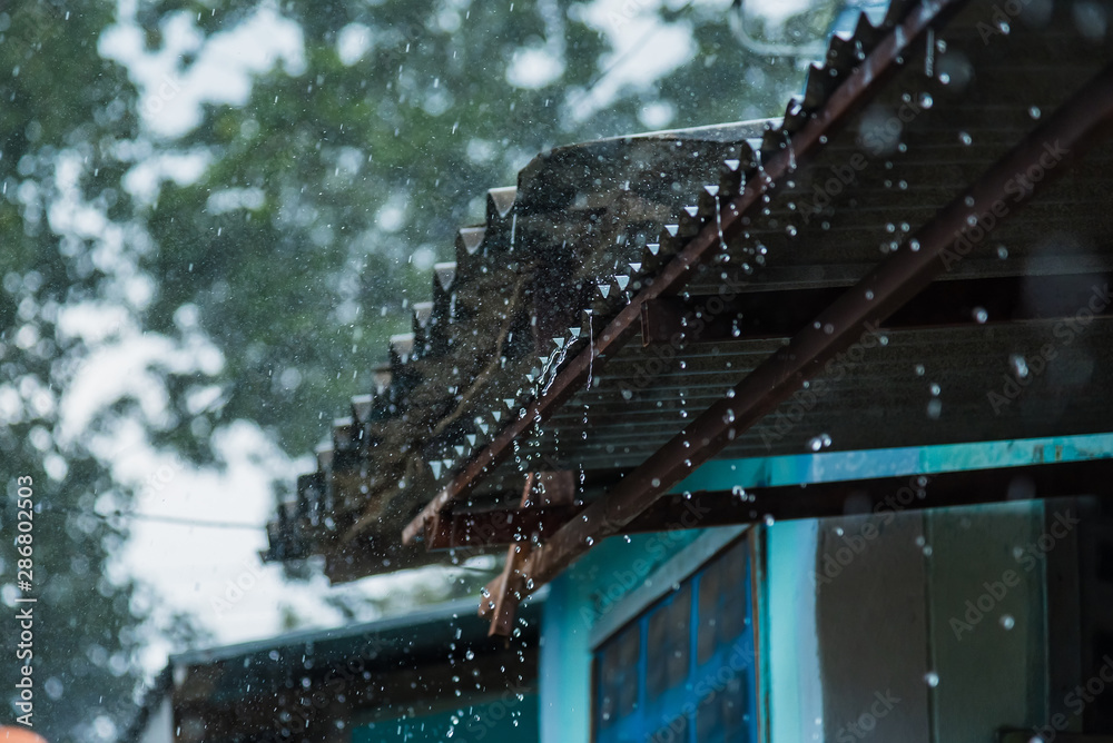 Rain storm with metal sheet roof,rainwater flows down the roof. Stock ...