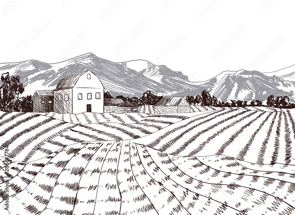 Vector Hand drawn Farm with Mountains Background, Freehand Drawing ...