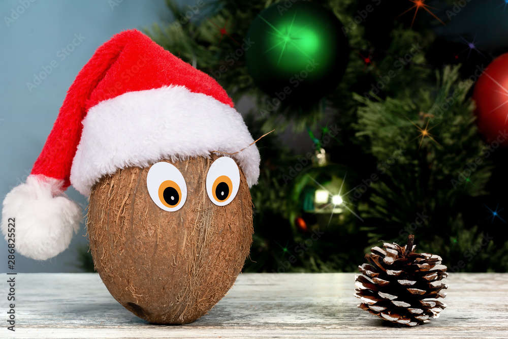 Painted Coconut Santa