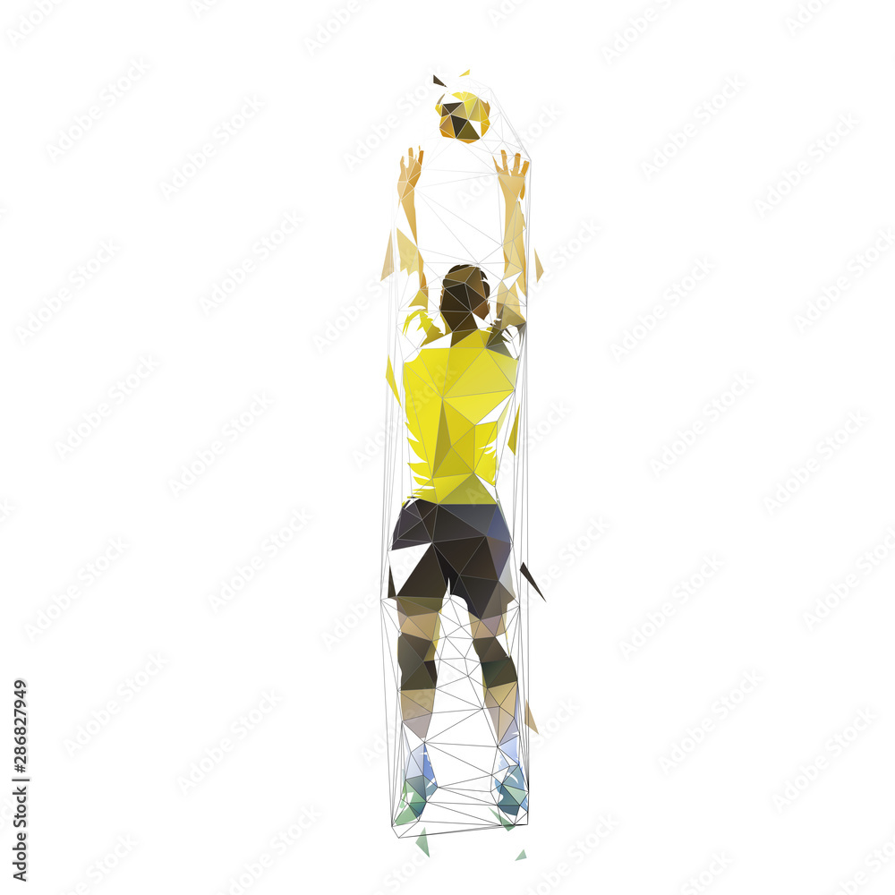 Volleyball player passing ball, isolated vector low poly illustration ...