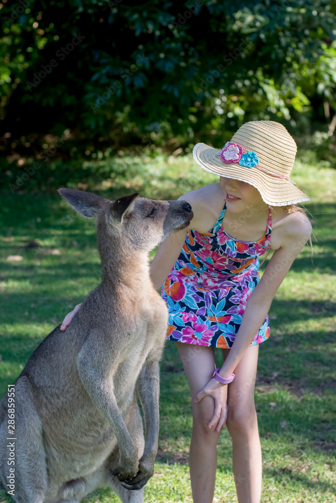 A girl in a beatiful straw hat plays with a kangaroo. Girl touching a ...