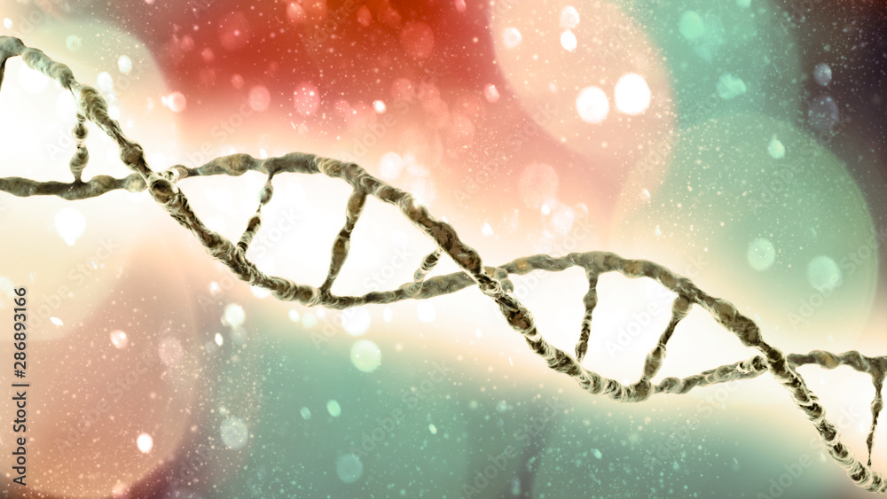 DNA, Deoxyribonucleic acid is a thread-like chain of nucleotides ...