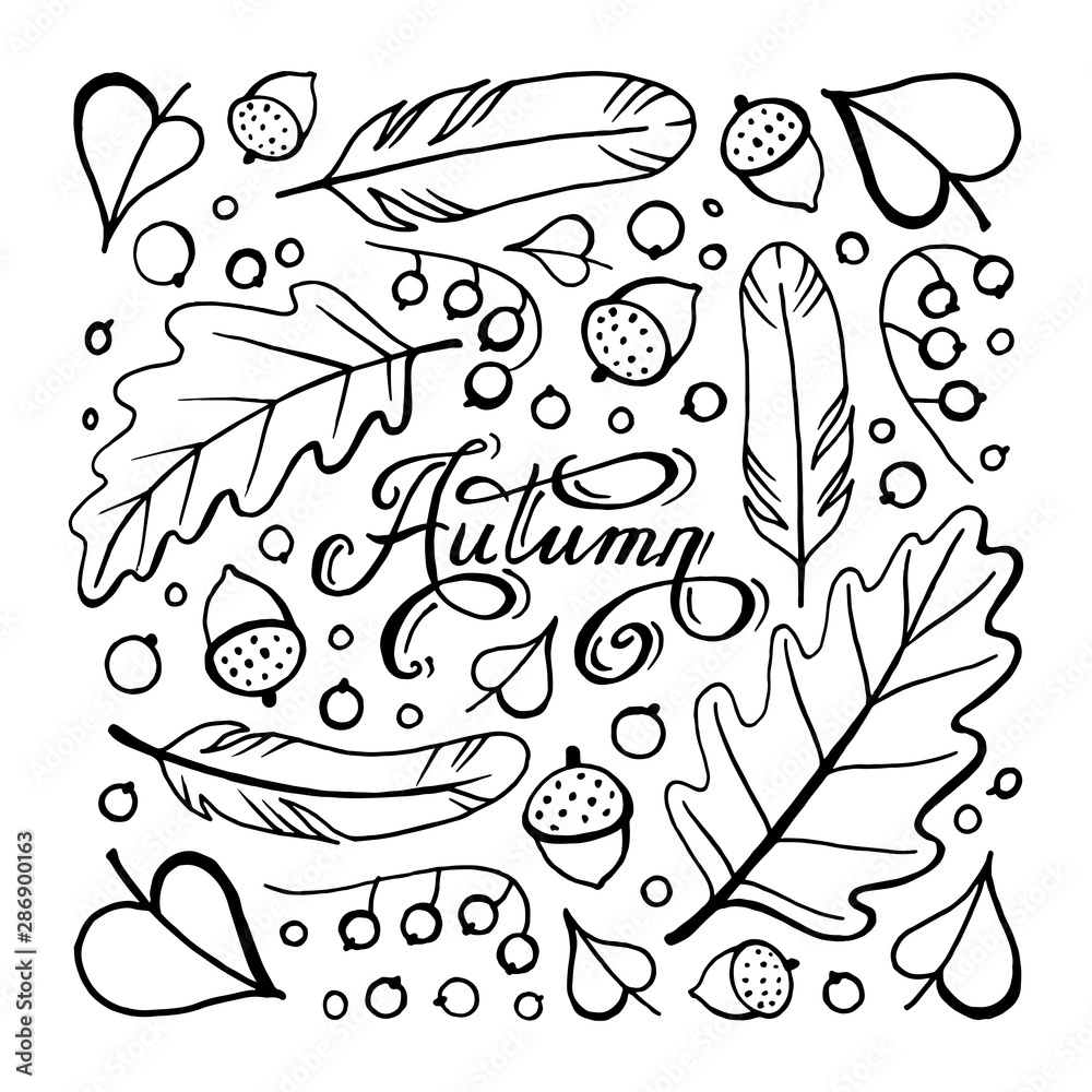 Autumn doodle hand-drawn page with outlines for adult coloring book ...