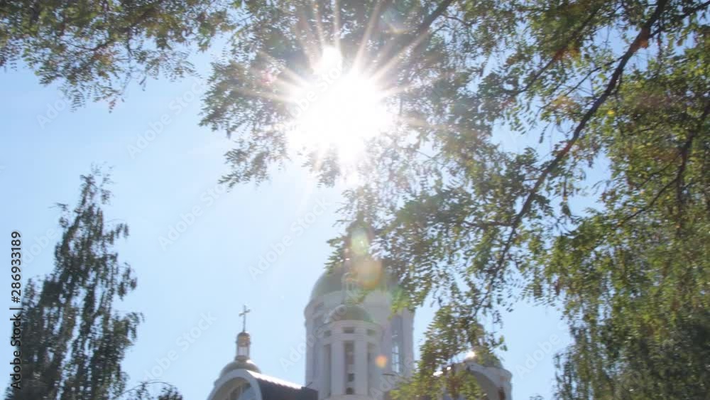 Nature sunny green background with shining sun behind branches. Organic ...