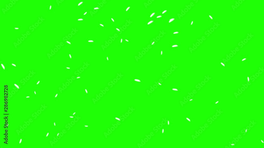 Snow, rain or particles falling on green screen. Snowing on chroma key ...