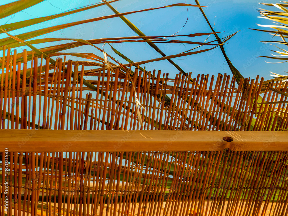 The roof of a hut made of wooden slats, dry reeds and palm leaves ...