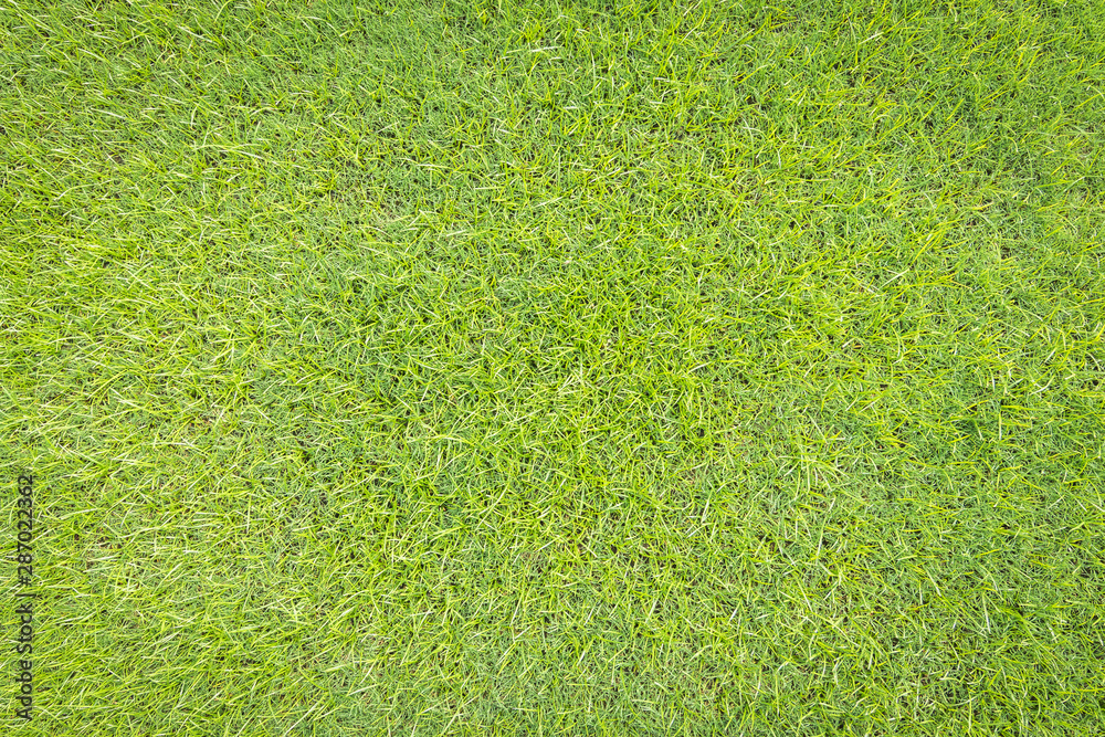 Green grass texture pattern background golf course turf lawn from top ...