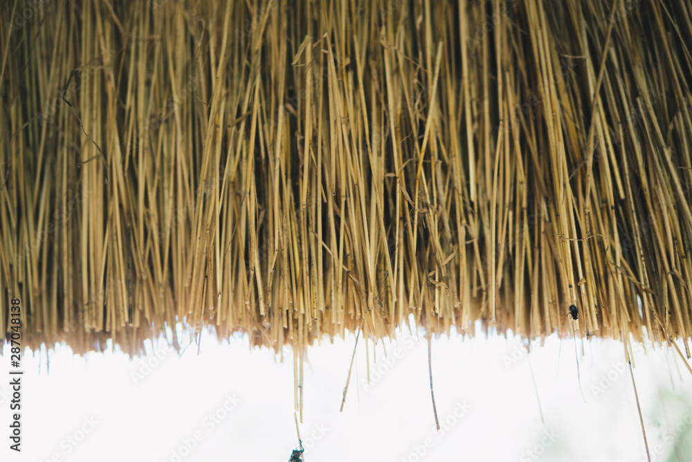 straw from thatched roof Stock Photo | Adobe Stock