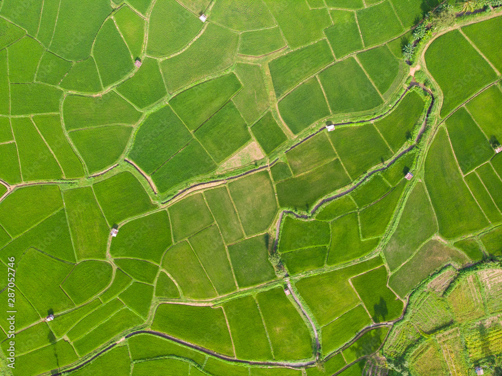 Aerial view Above the green rice fields And beautiful patterns. Stock ...