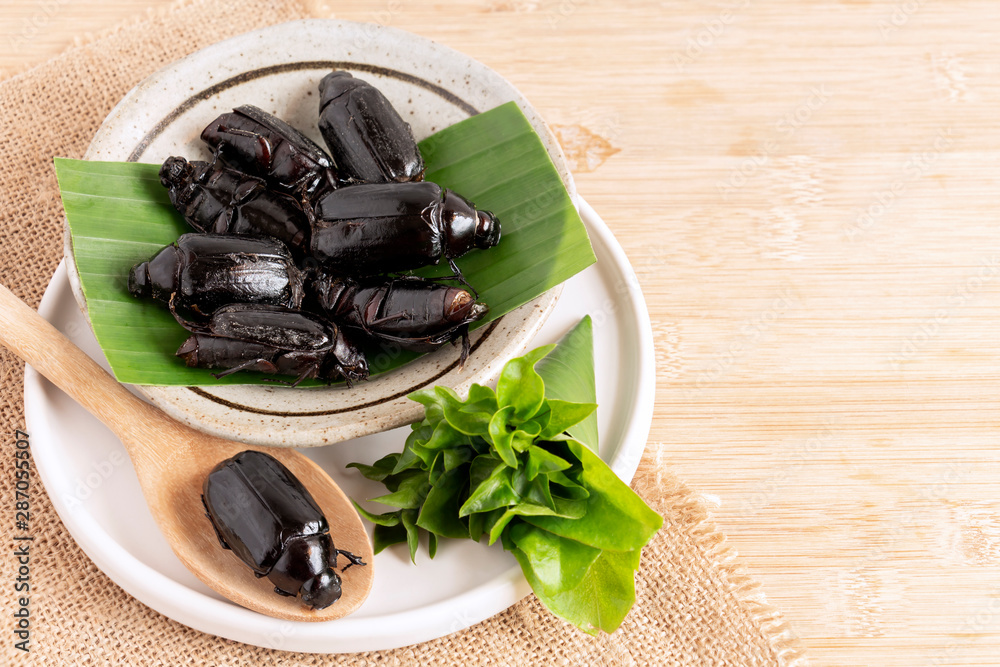 Scarab beetle (Holotrichia sp.). Insects as food edible for eating and ...