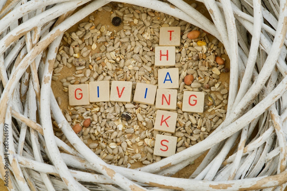 Crossed letters of THANKSGIVING on corn grains Stock Photo | Adobe Stock