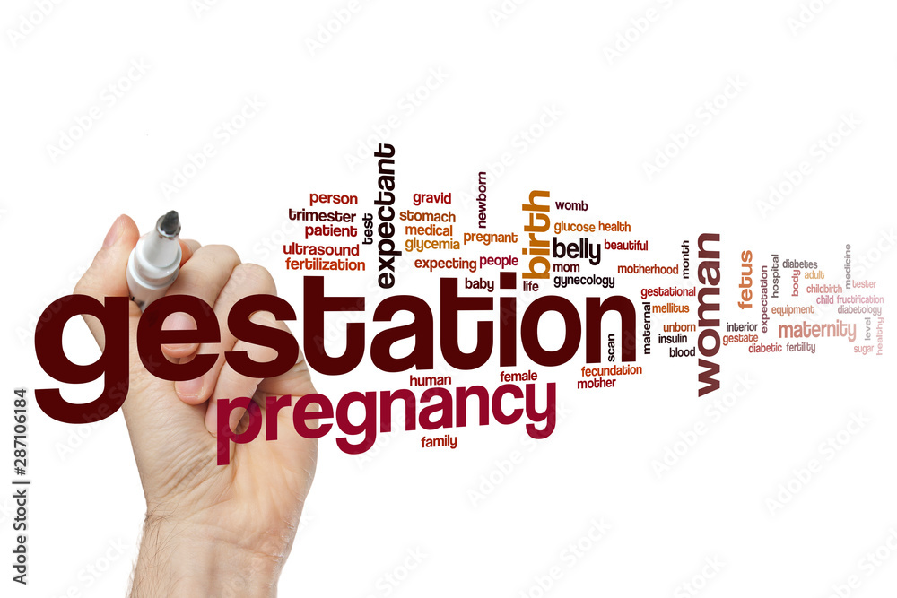 Gestation word cloud Stock Photo | Adobe Stock