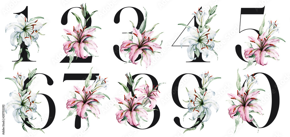 Floral numbers set with watercolor flowers and leaf. Perfectly for ...