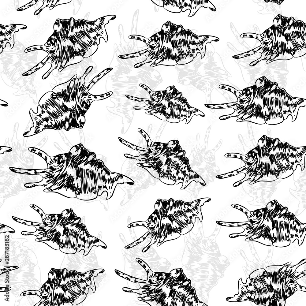 seamless pattern Lambis spider conch Chicoreus aculeatus, large sea ...