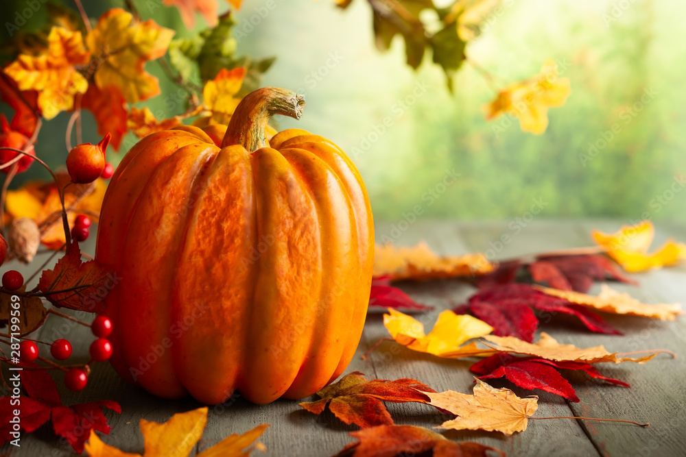 Fall Leaves And Pumpkins Wallpaper