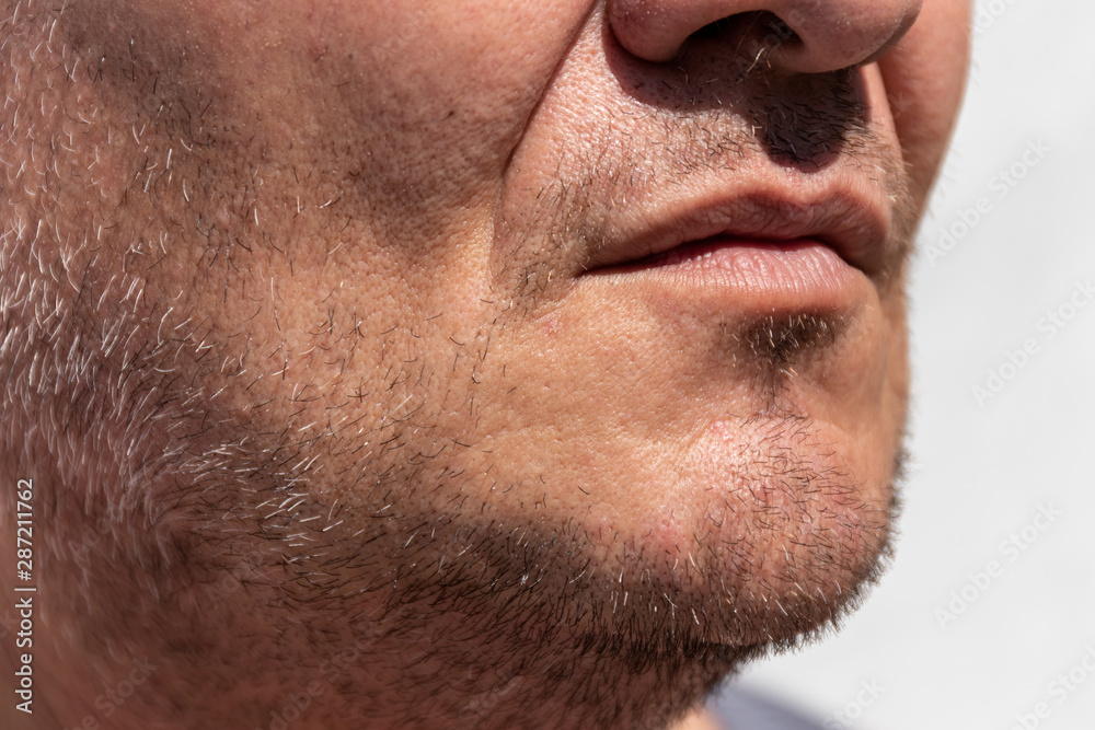 Bristle with gray hair on a mature male face, close-up half-prof Stock ...