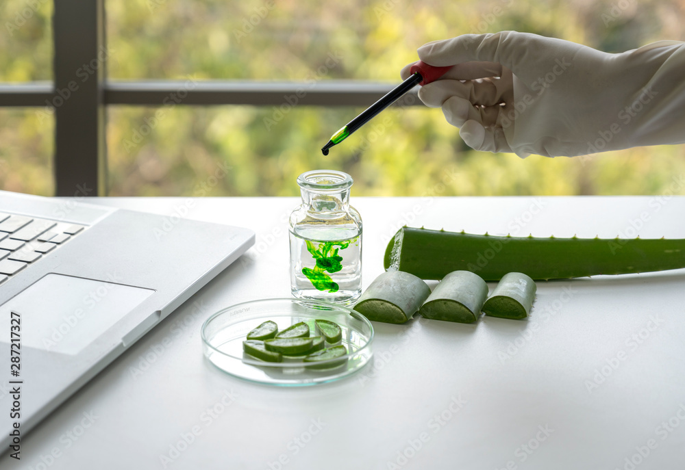 science laboratory with aloe vera leaf and tester with labtop computer ...